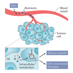 Evan Lien Laboratory – Van Andel Institute